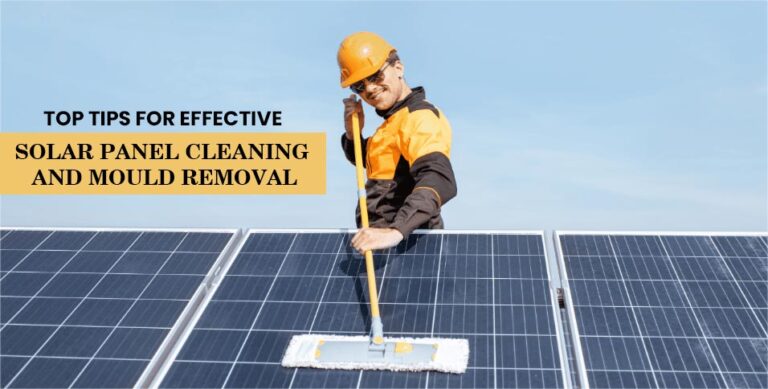 Top Tips for Effective Solar Panel Cleaning and Mould Removal