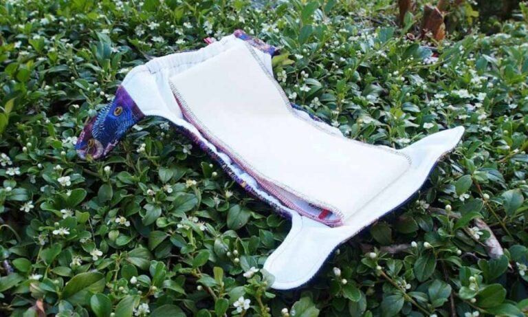 Understanding the Different Absorbency Levels in Free Adult Diapers