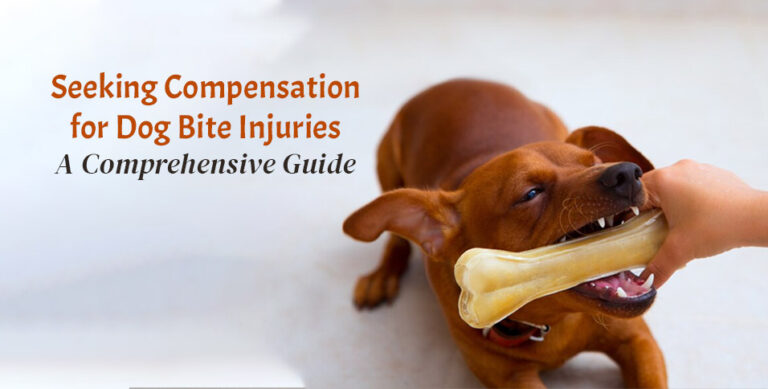 Seeking Compensation for Dog Bite Injuries: Know Your Rights