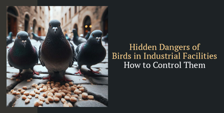 Hidden Dangers of Birds in Industrial Facilities