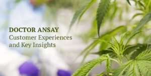 Doctor Ansay: Customer Experiences and Key Insights