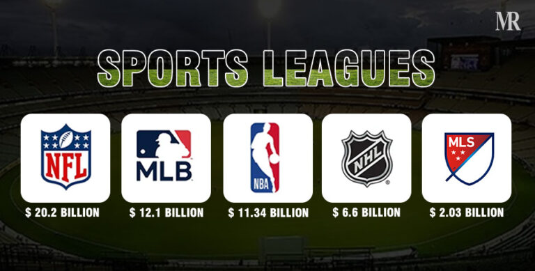 The 5 Most Profitable Sports Leagues In The US By Revenue
