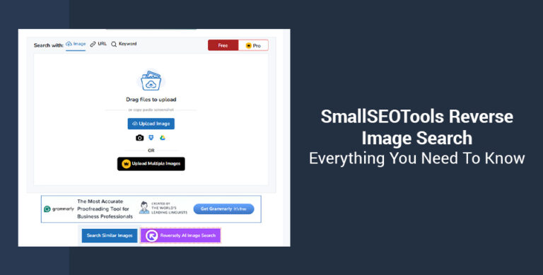SmallSEOTools Reverse Image Search